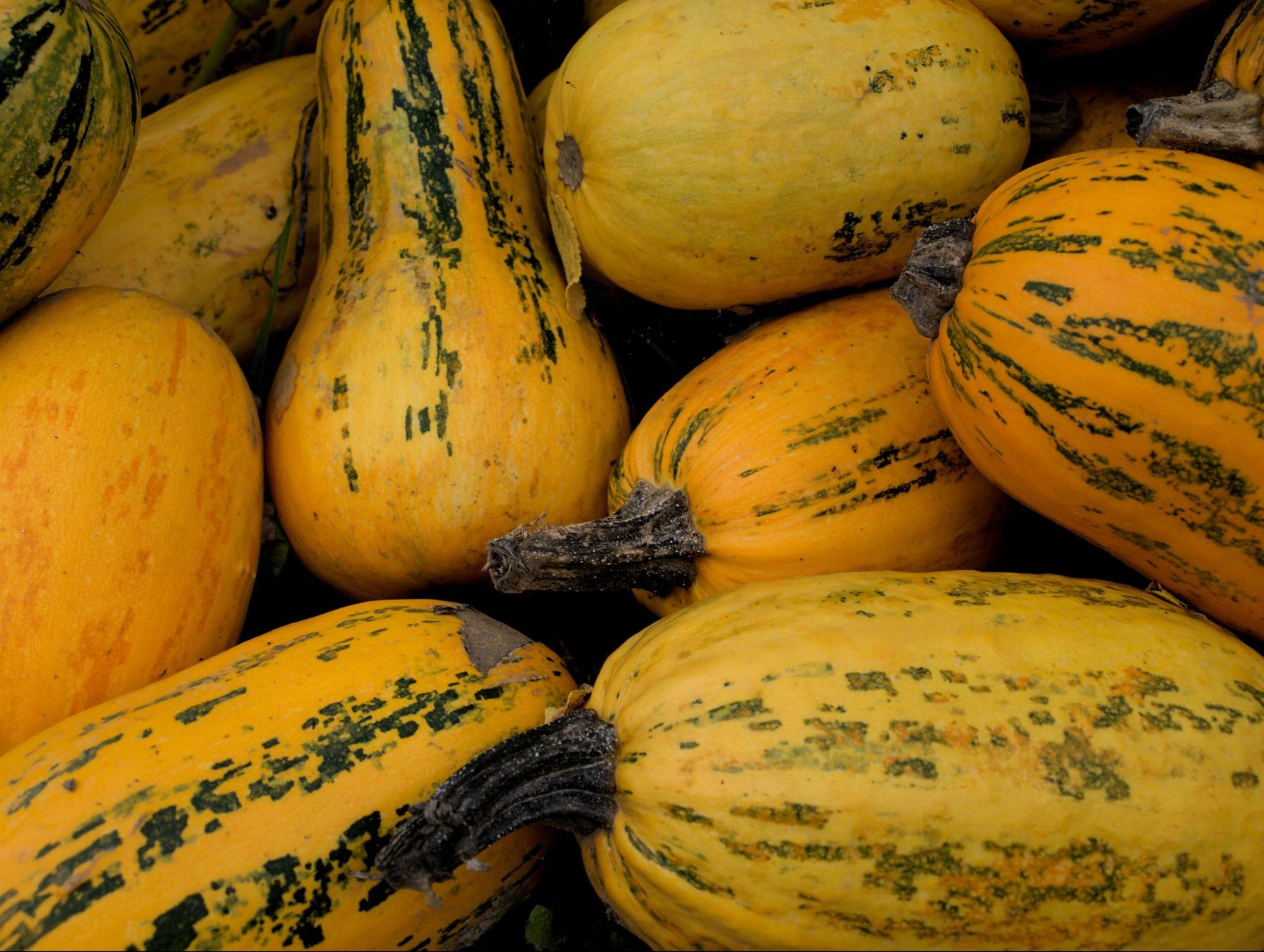 The Art of Bellevue Freshness: Mayuri Grocery's Guide to Picking the ...